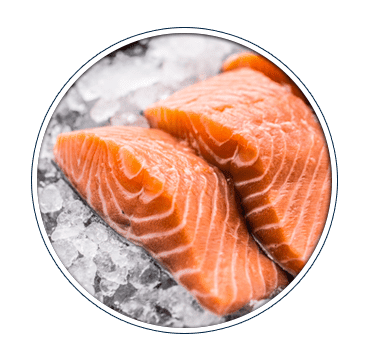 Get the Best Flake Ice for Your Business | Easy Ice